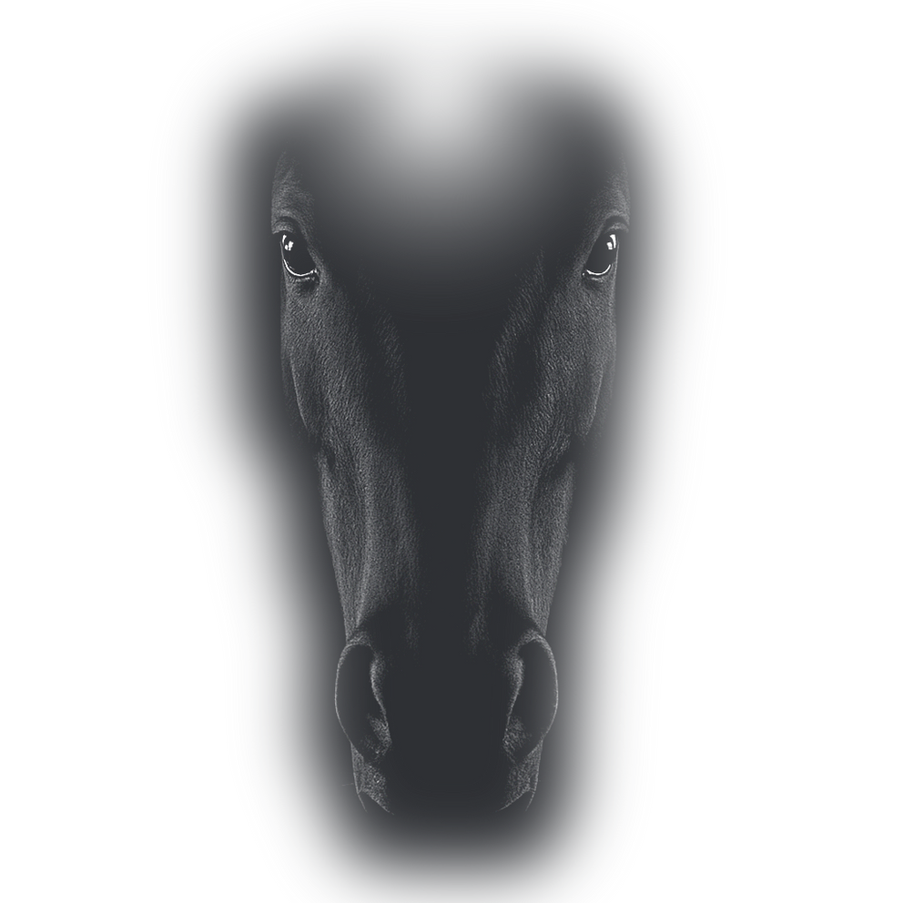 Size Guide App View - Size Chart - MENS THOBES – Mihyar KSA